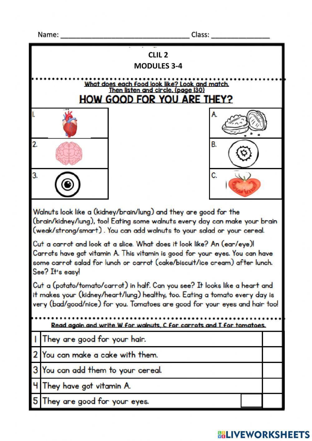 Cefr Year 4 Clil 2 worksheet | Live Worksheets
