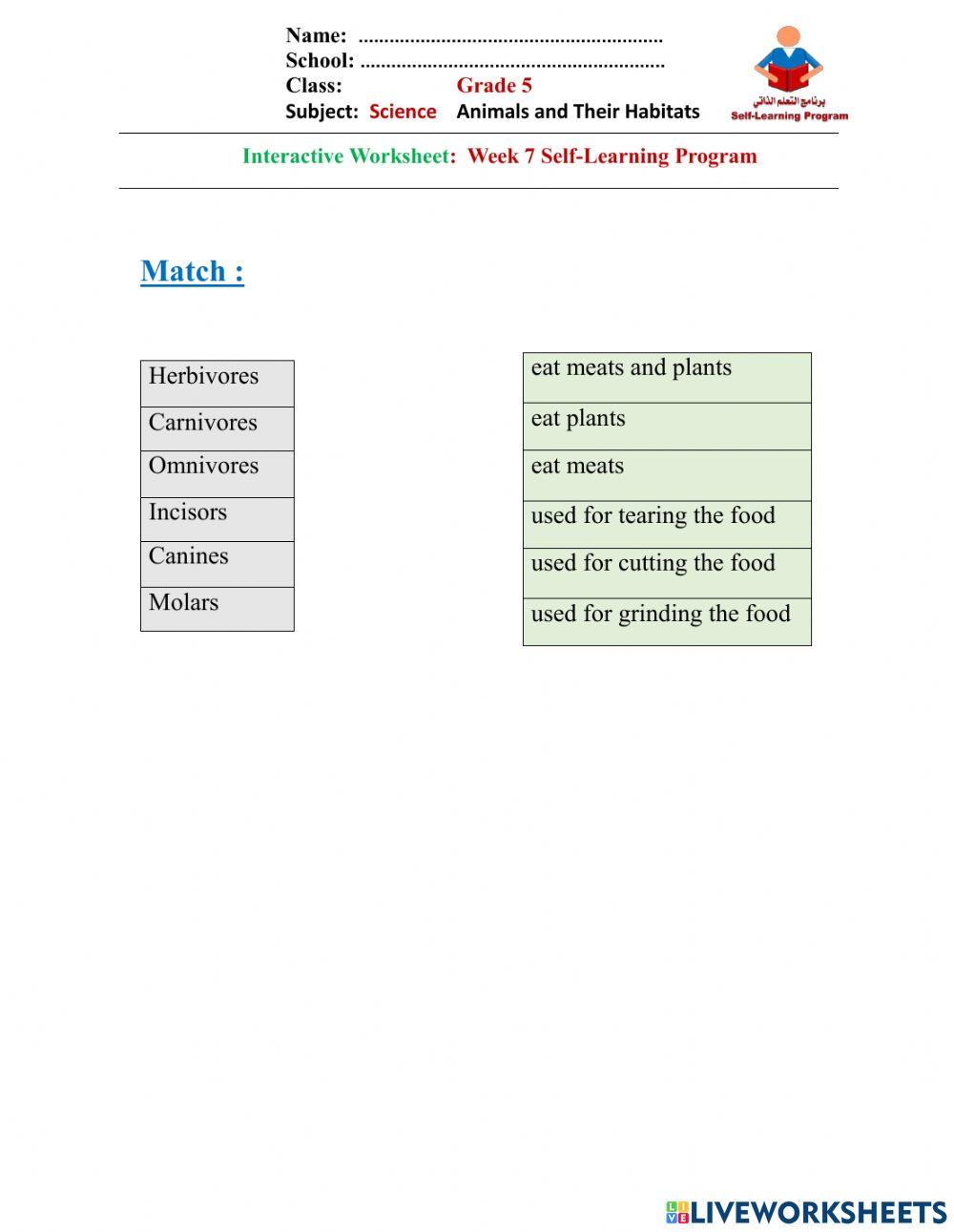 W7 - G5 - Sc. - Int. WS worksheet | Live Worksheets