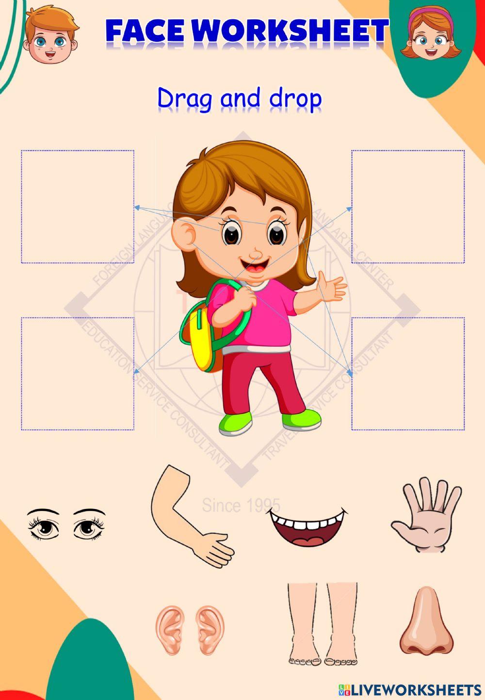 Face worksheet activity | Live Worksheets