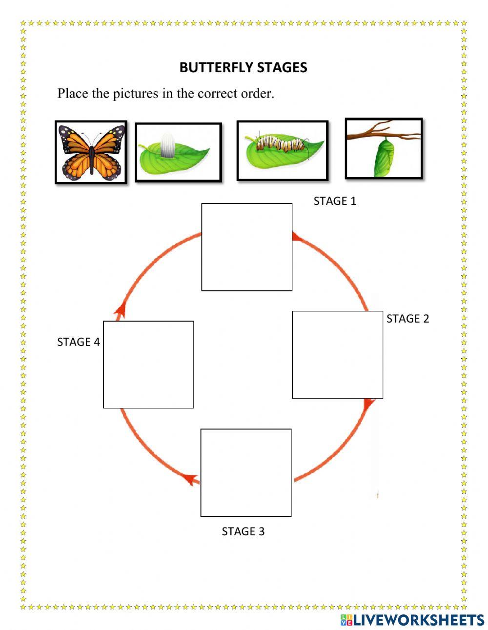 Butterfly stages online exercise for | Live Worksheets