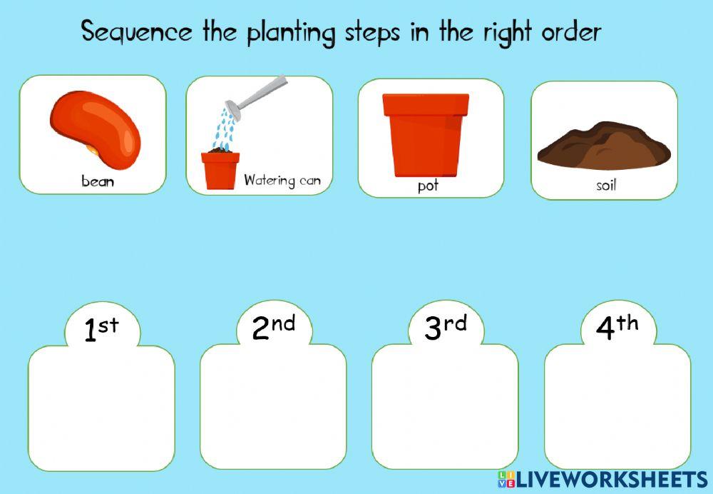 Planting steps worksheet | Live Worksheets