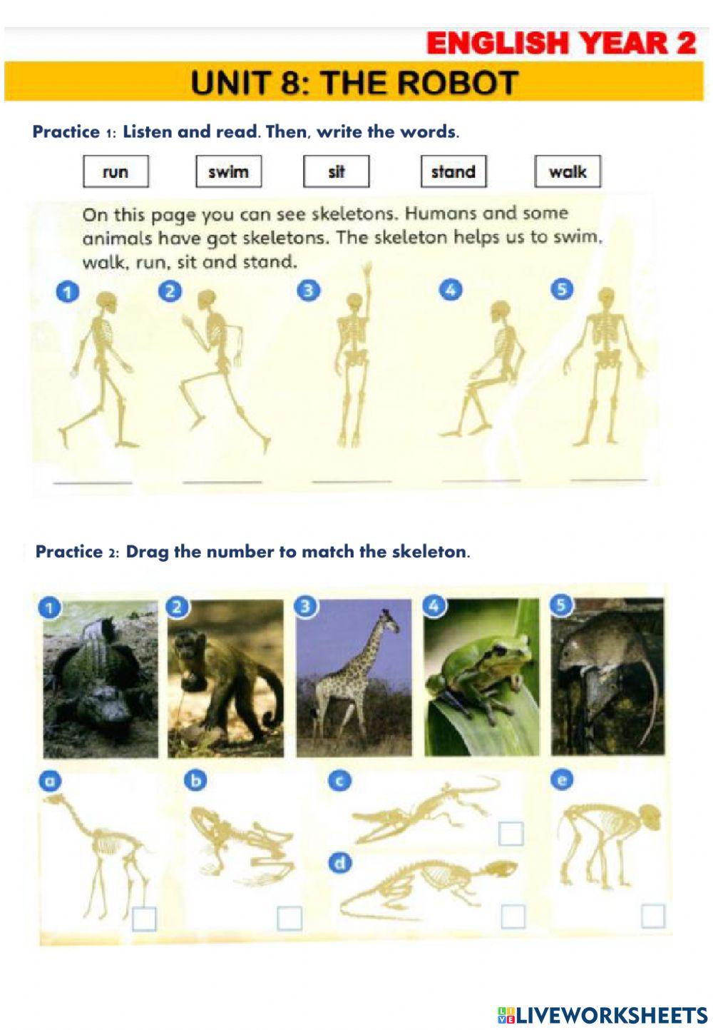 The Skeleton English as a Second Language (ESL) exercise | Live Worksheets