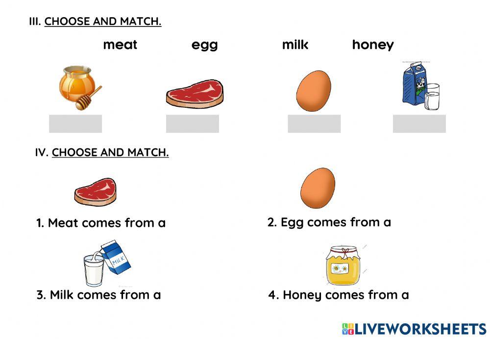 1535200 | Unit 4- Week 12- Farm animals | Vân Bùi