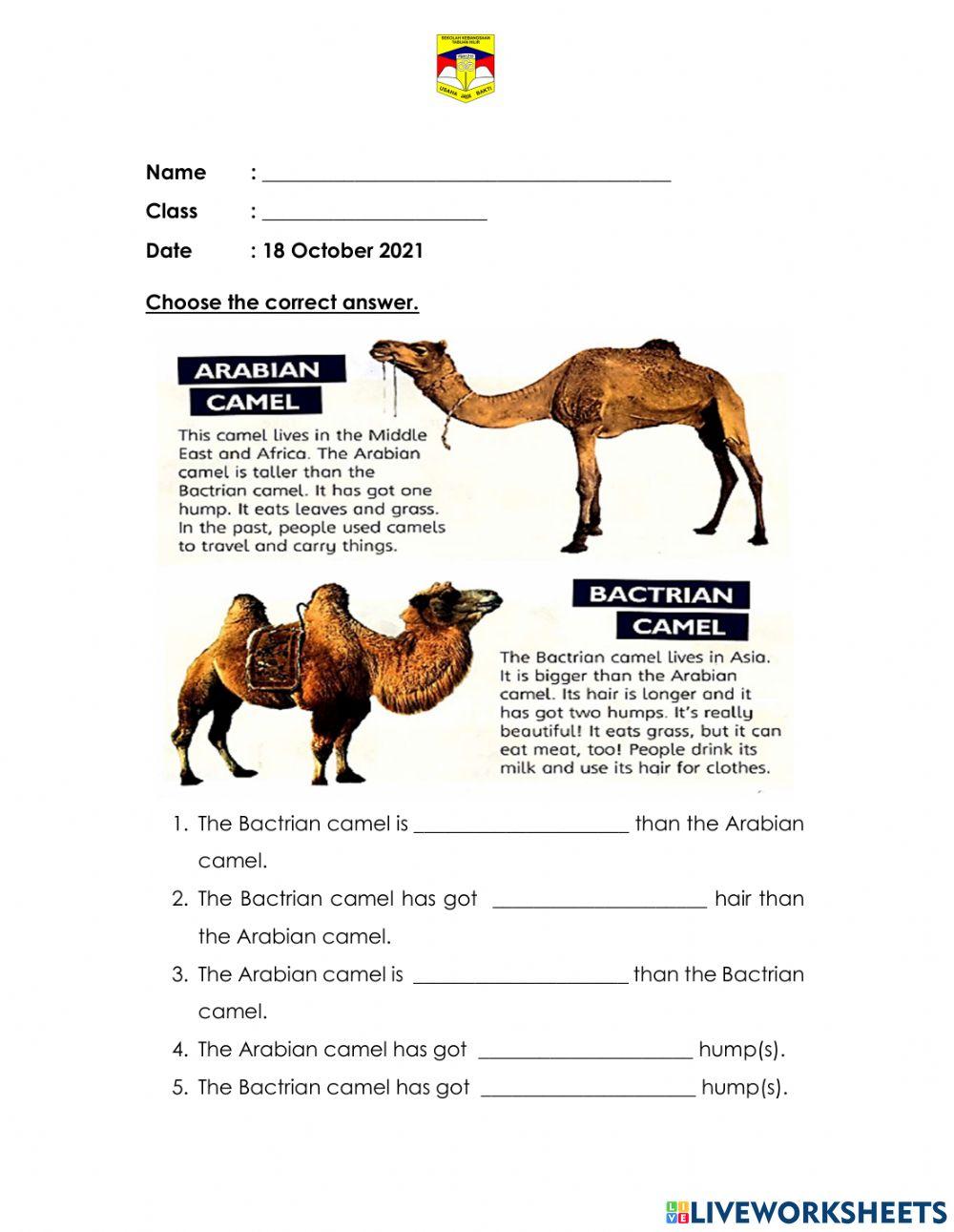 3 Rose (18-10-2021) worksheet | Live Worksheets