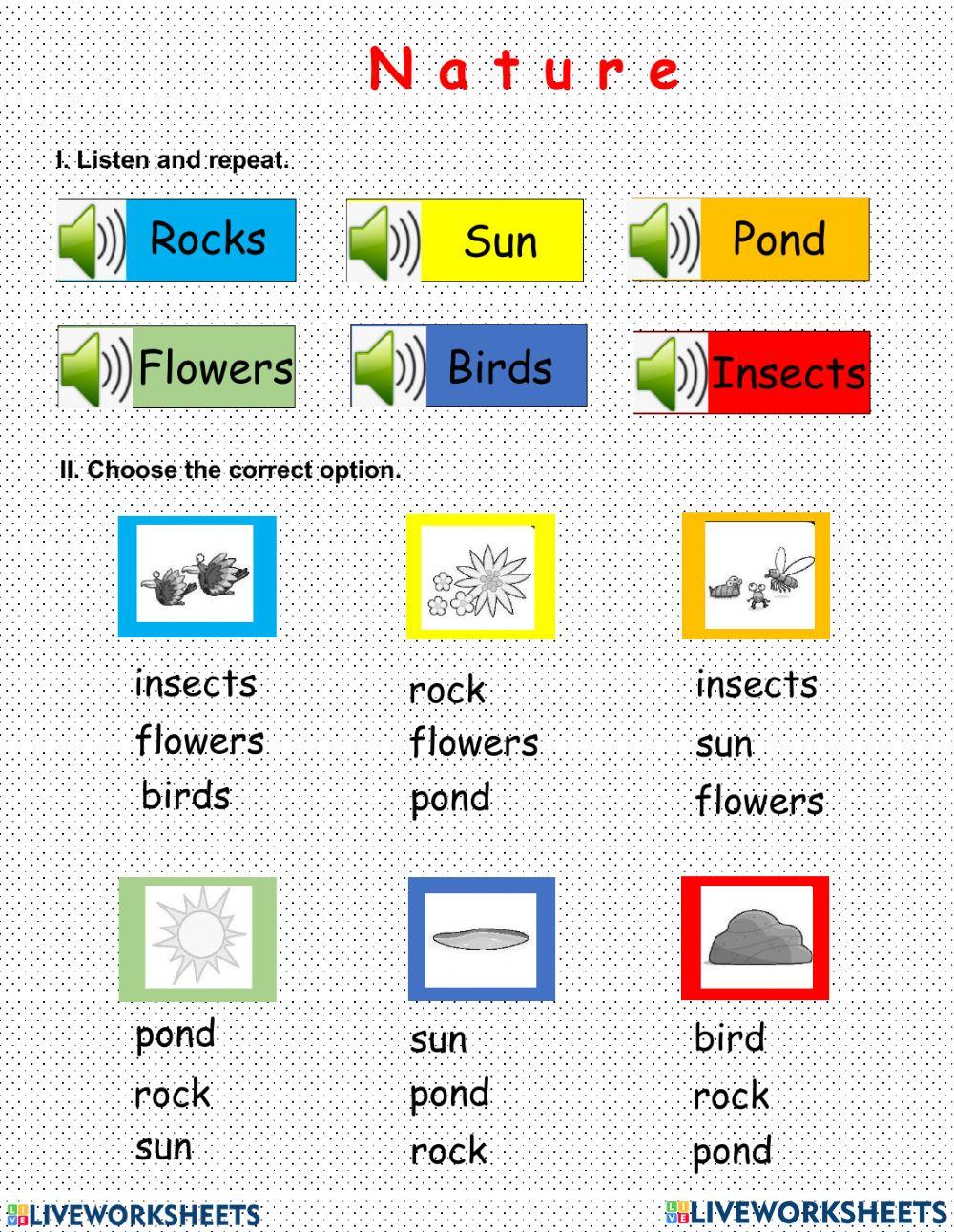 Choose the correct option online activity for 3º Educ. Primaria | Live ...