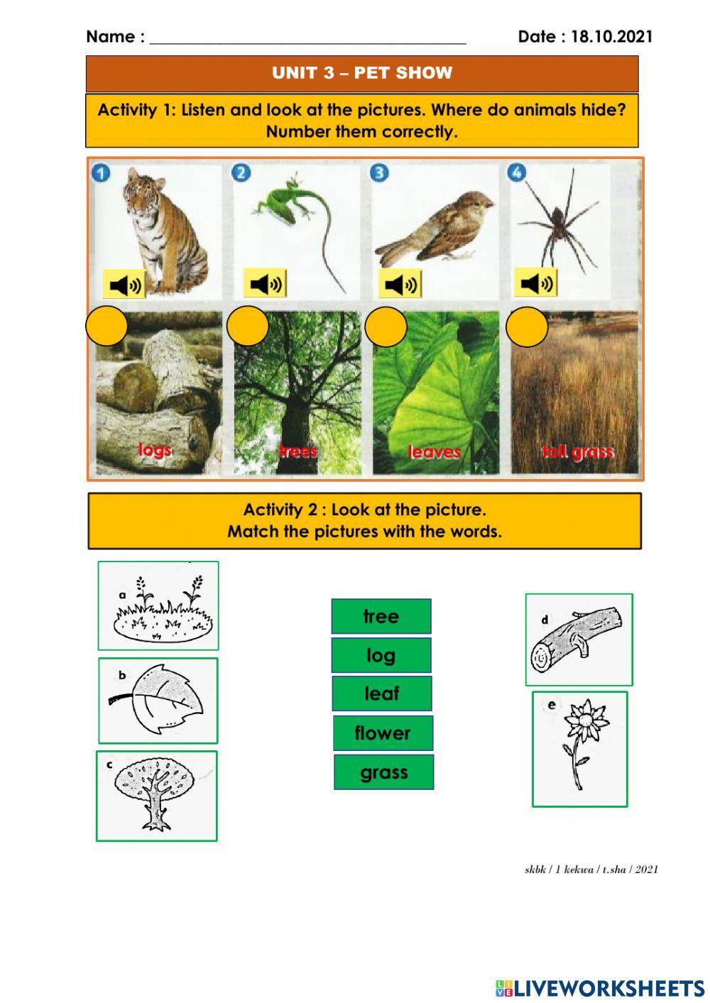 Pet Show worksheet for 1 | Live Worksheets
