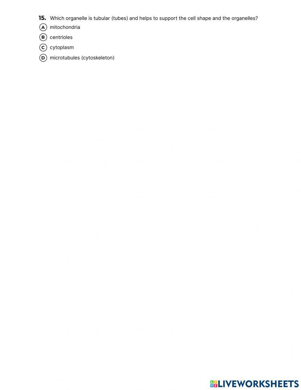 Function practice worksheet | Live Worksheets