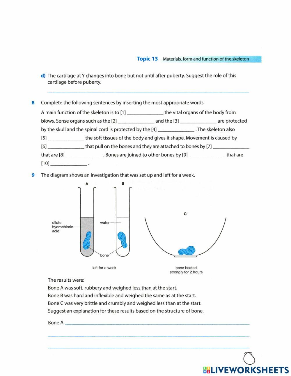 Skeleton and its Function online exercise for | Live Worksheets
