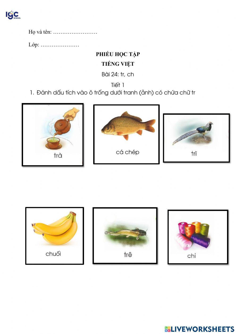 Khoi 1- tv- tr-ch | LiveWorksheets | 1537865