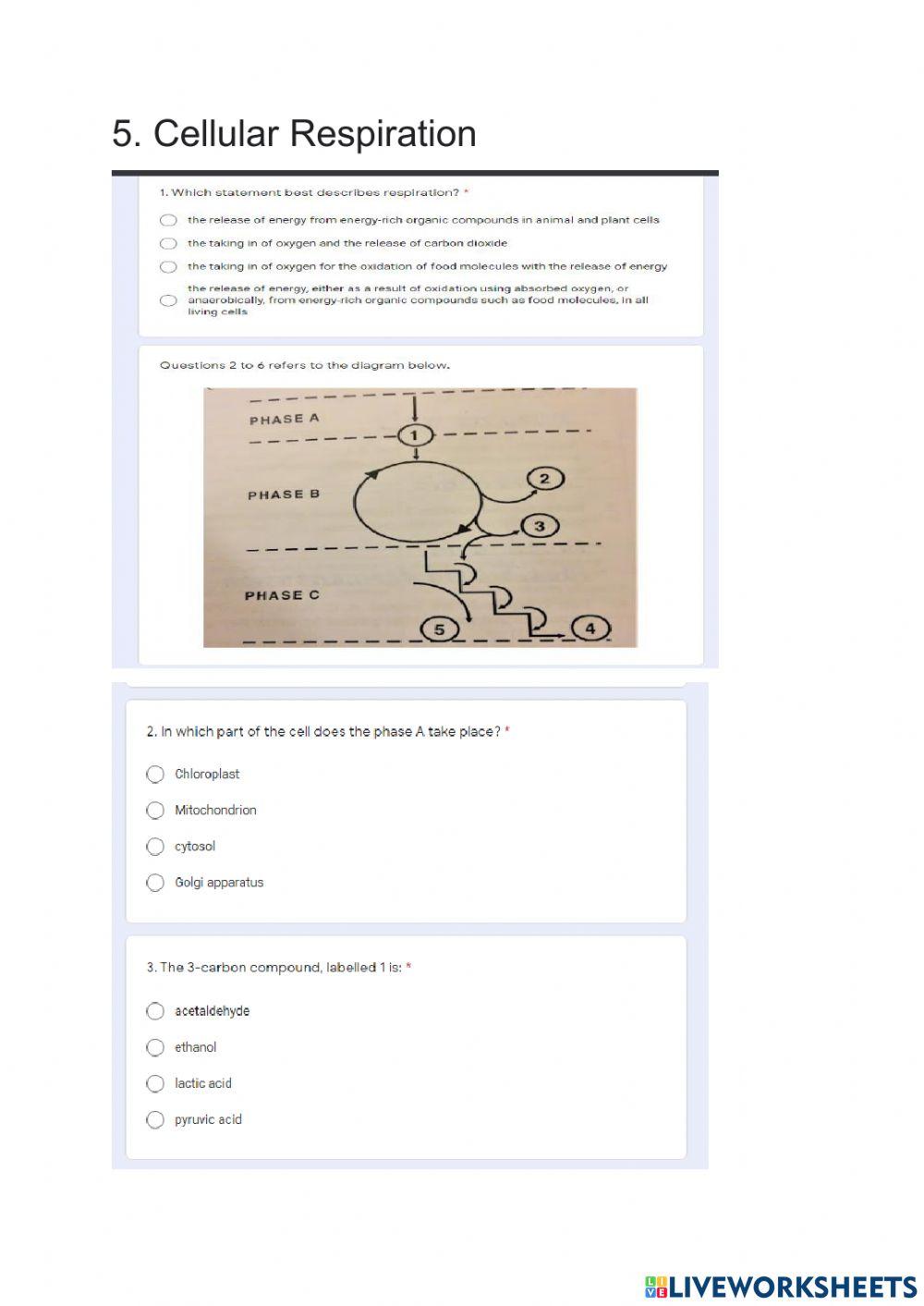 5. Cellular Respiration | LiveWorksheets | 1538692 5. Cellular Respiration | LiveWorksheets | 1538692