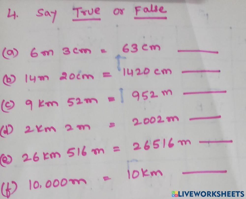 True or False online pdf worksheet | Live Worksheets