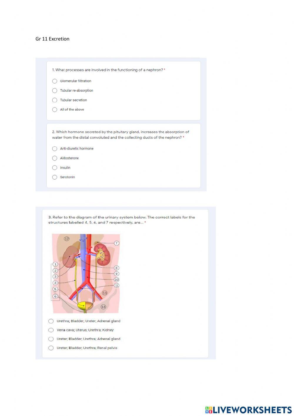 1538874 | Gr 11 Excretion | Grace Vogt | LiveWorksheets