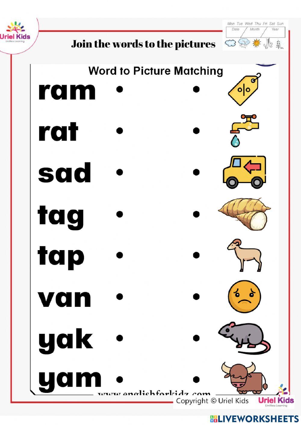 CVC words with vowel a online exercise for | Live Worksheets
