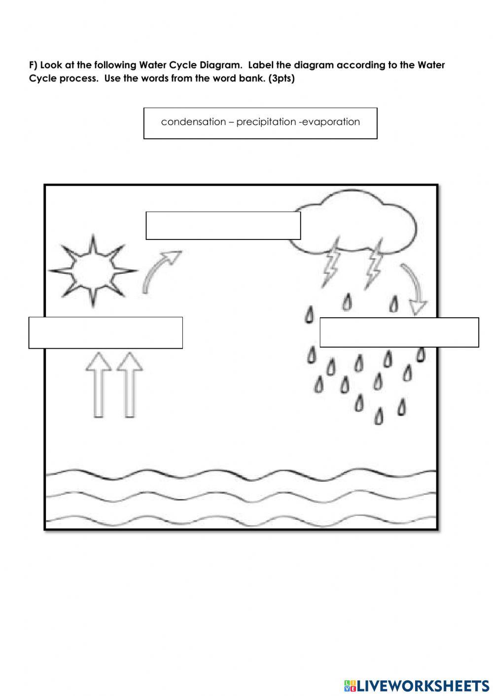 IV BA Science Test Water Cycle 1540027 | Montserrat Mora