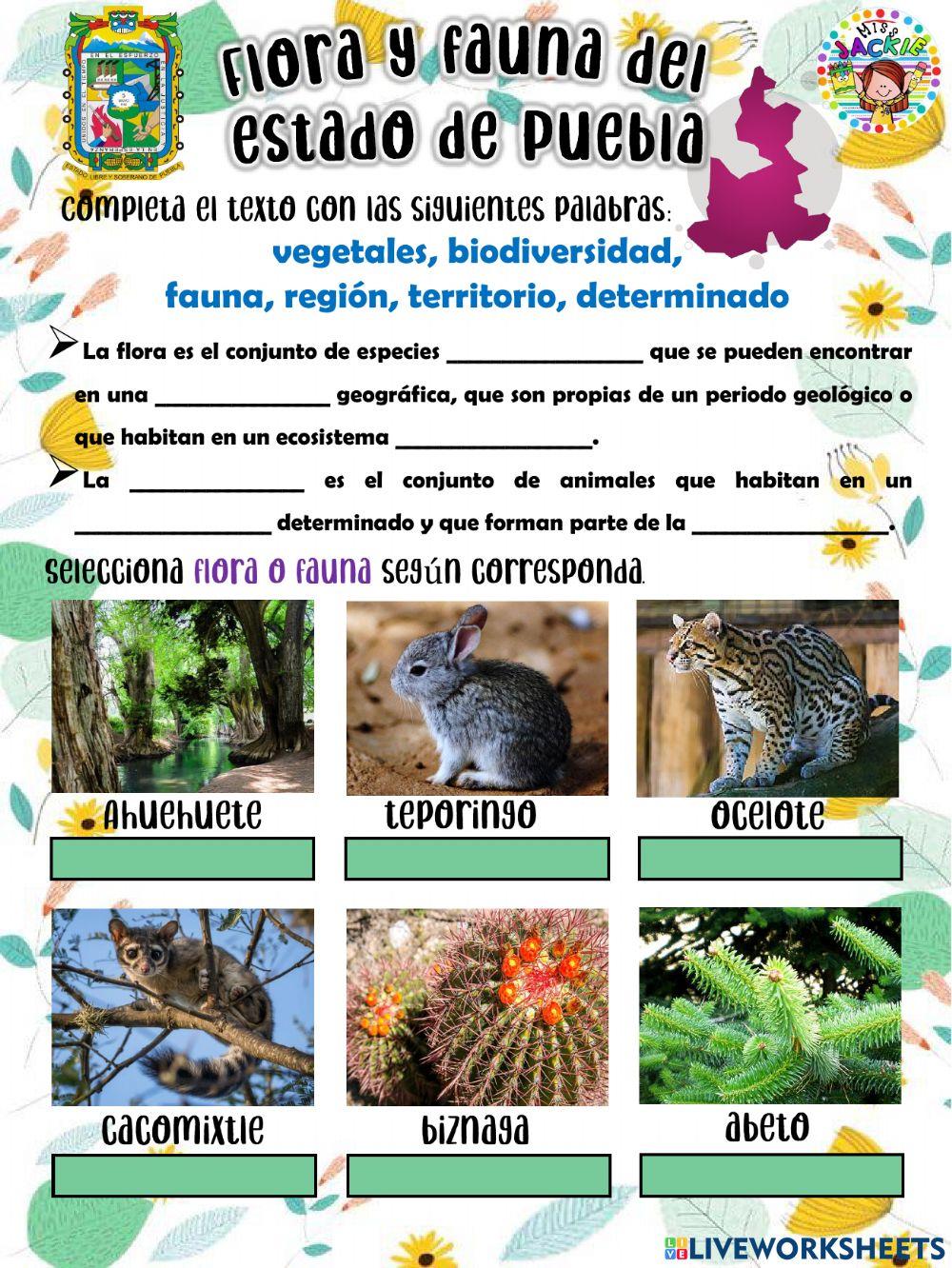 Flora y fauna d… | Free Interactive Worksheets | 1541915