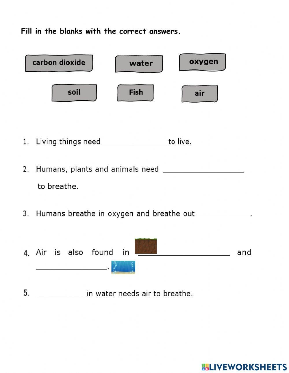 5211376 | Science Year 2 Unit 9 Earth (Air) | YII MING
