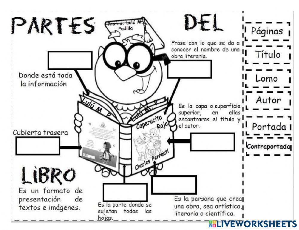 Partes del libro | Free Interactive Worksheets | 1545172