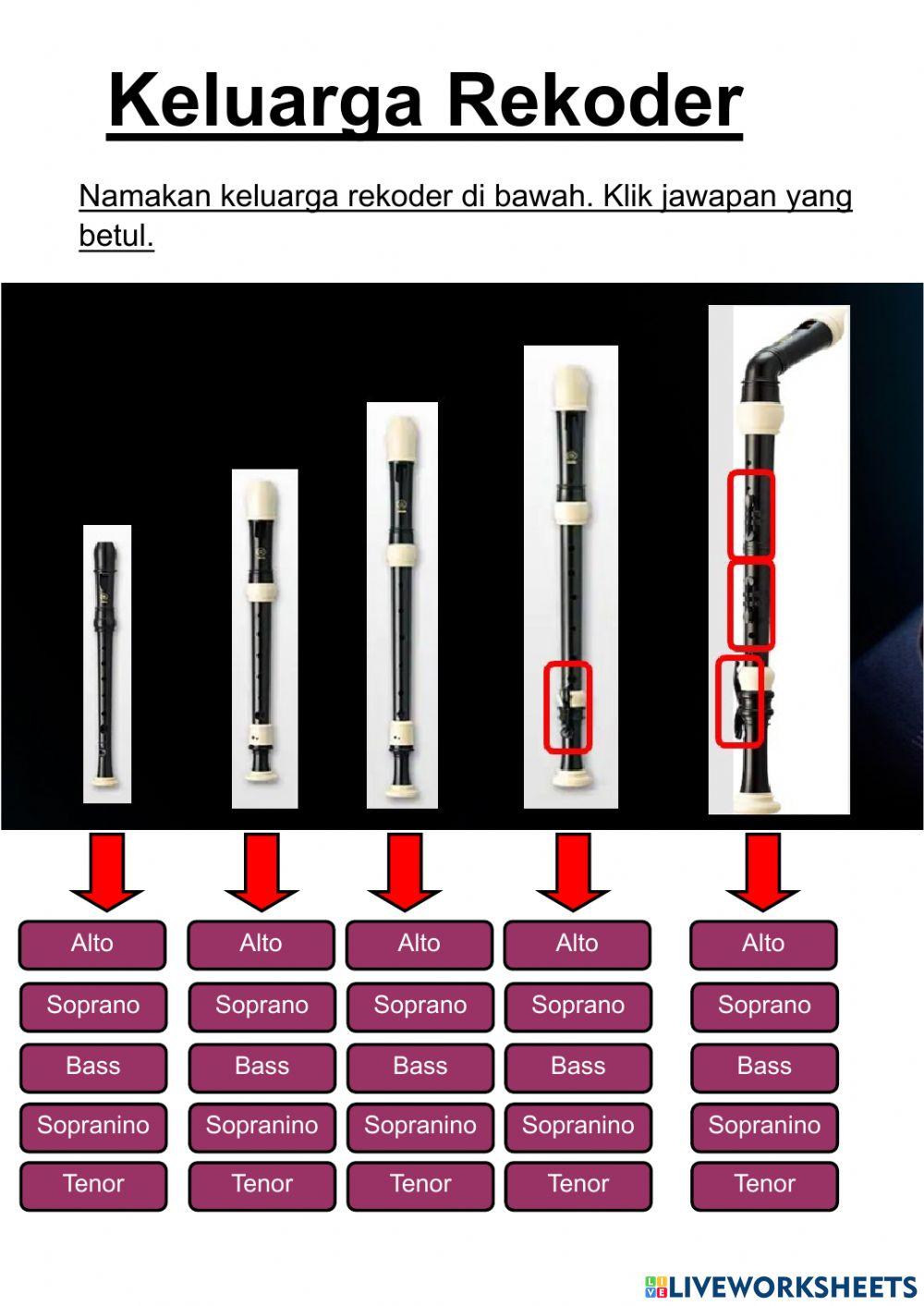 Keluarga Rekoder worksheet | Live Worksheets