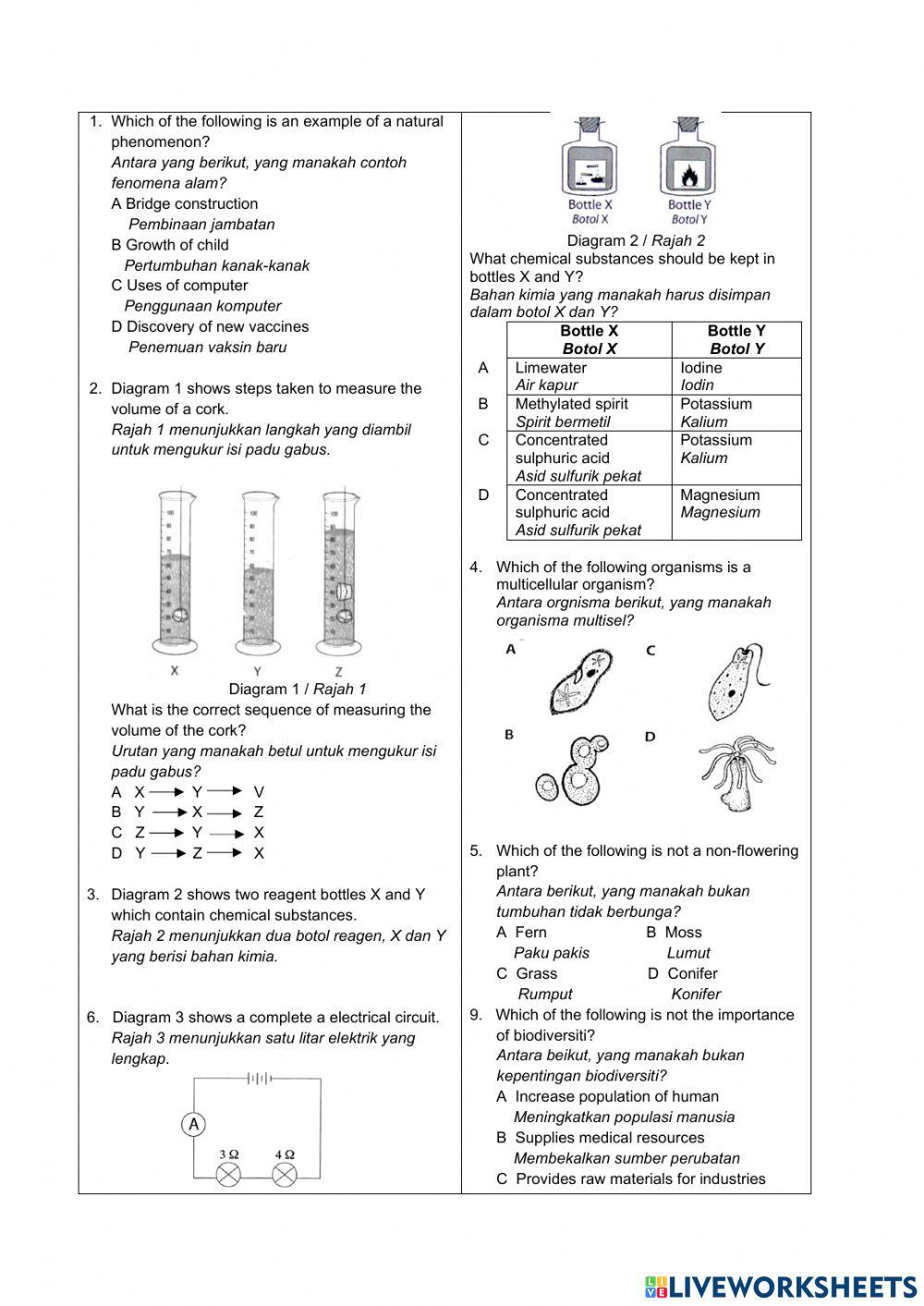 Pra ujian worksheet | Live Worksheets