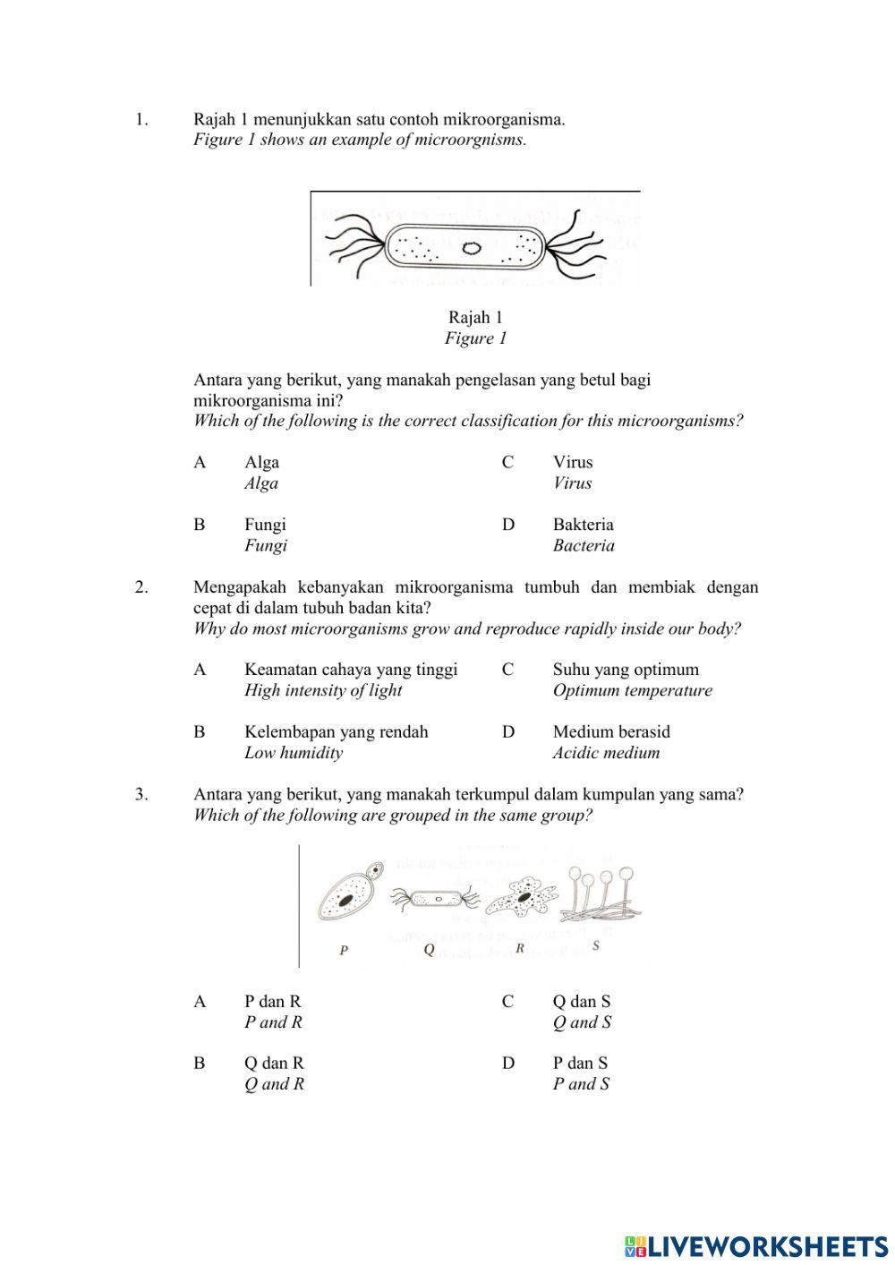 Kertas 2 online worksheet for ting 5 | Live Worksheets