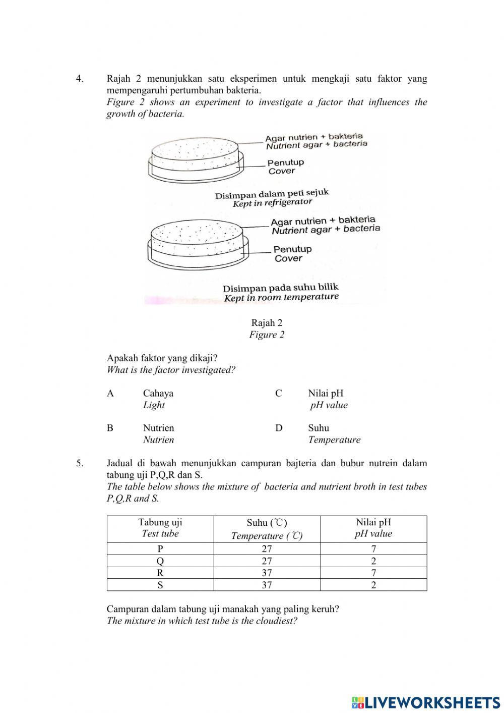 Kertas 2 online worksheet for ting 5 | Live Worksheets