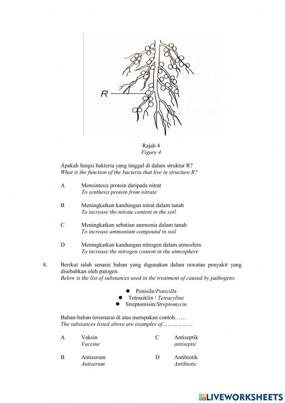 Kertas 2 online worksheet for ting 5 | Live Worksheets