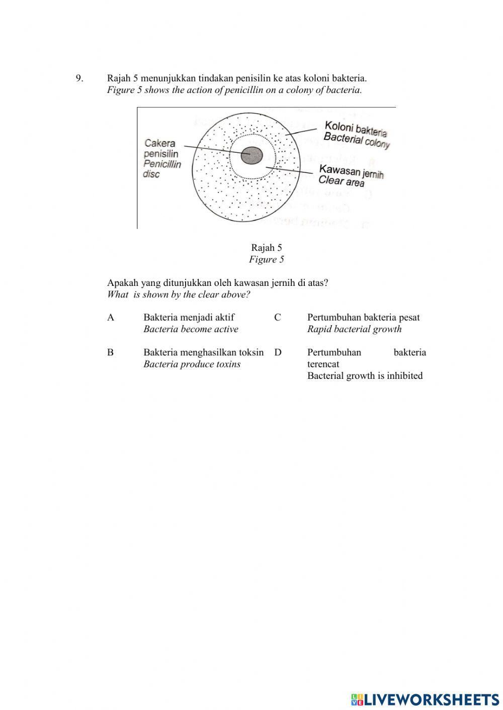 Kertas 2 online worksheet for ting 5 | Live Worksheets