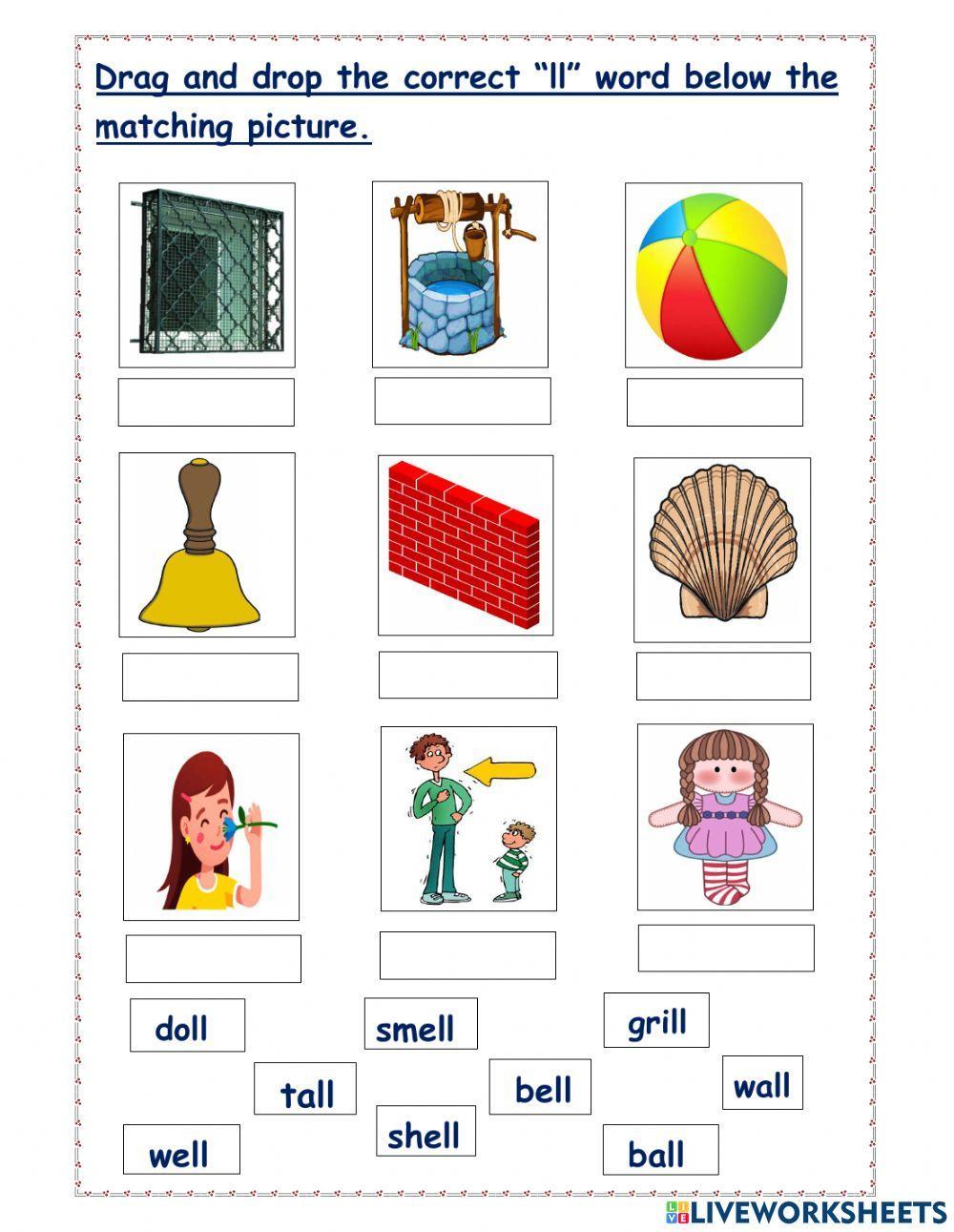 Drag and drop t… | Free Interactive Worksheets | 1474598