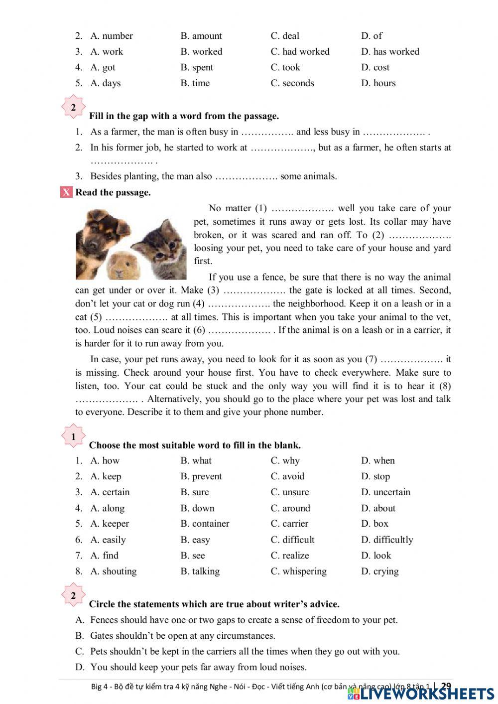 Mid term G8 worksheet | Live Worksheets
