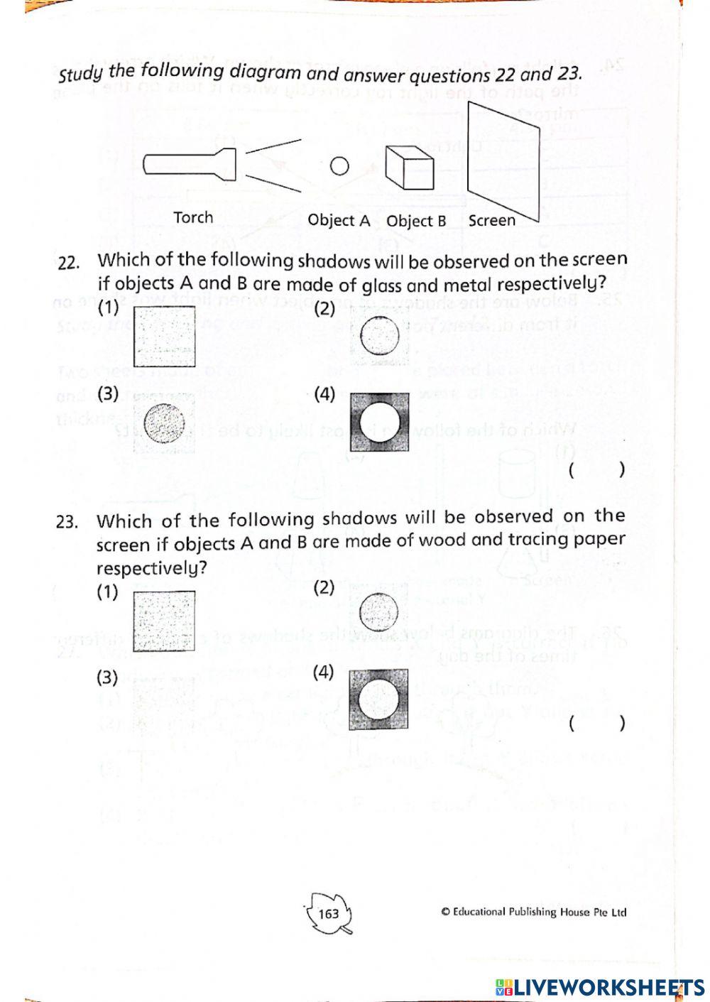 Light and Shadow | Free Interactive Worksheets | 1547299