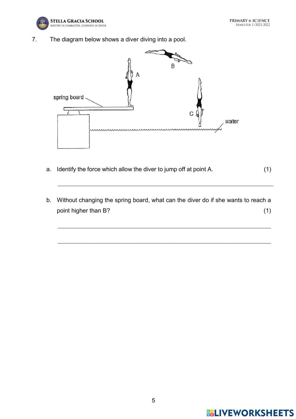 Forces | Free Interactive Worksheets | 1549833