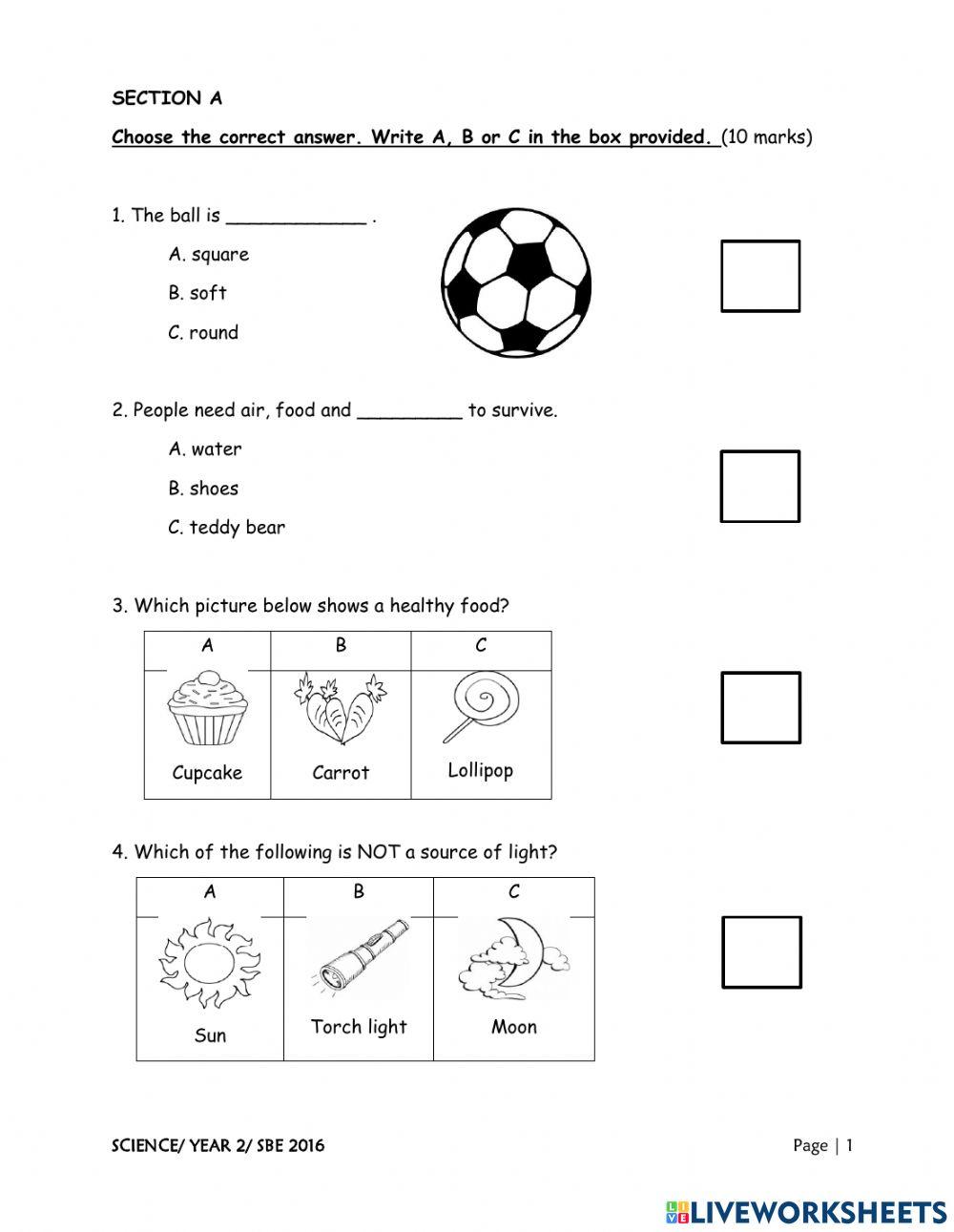 Revision Year 2 | Free Interactive Worksheets | 4004943