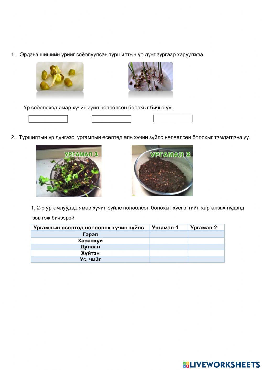 Ургамал ургахад нөлөөлөх хүчин зүйлс Interactive Worksheet Live