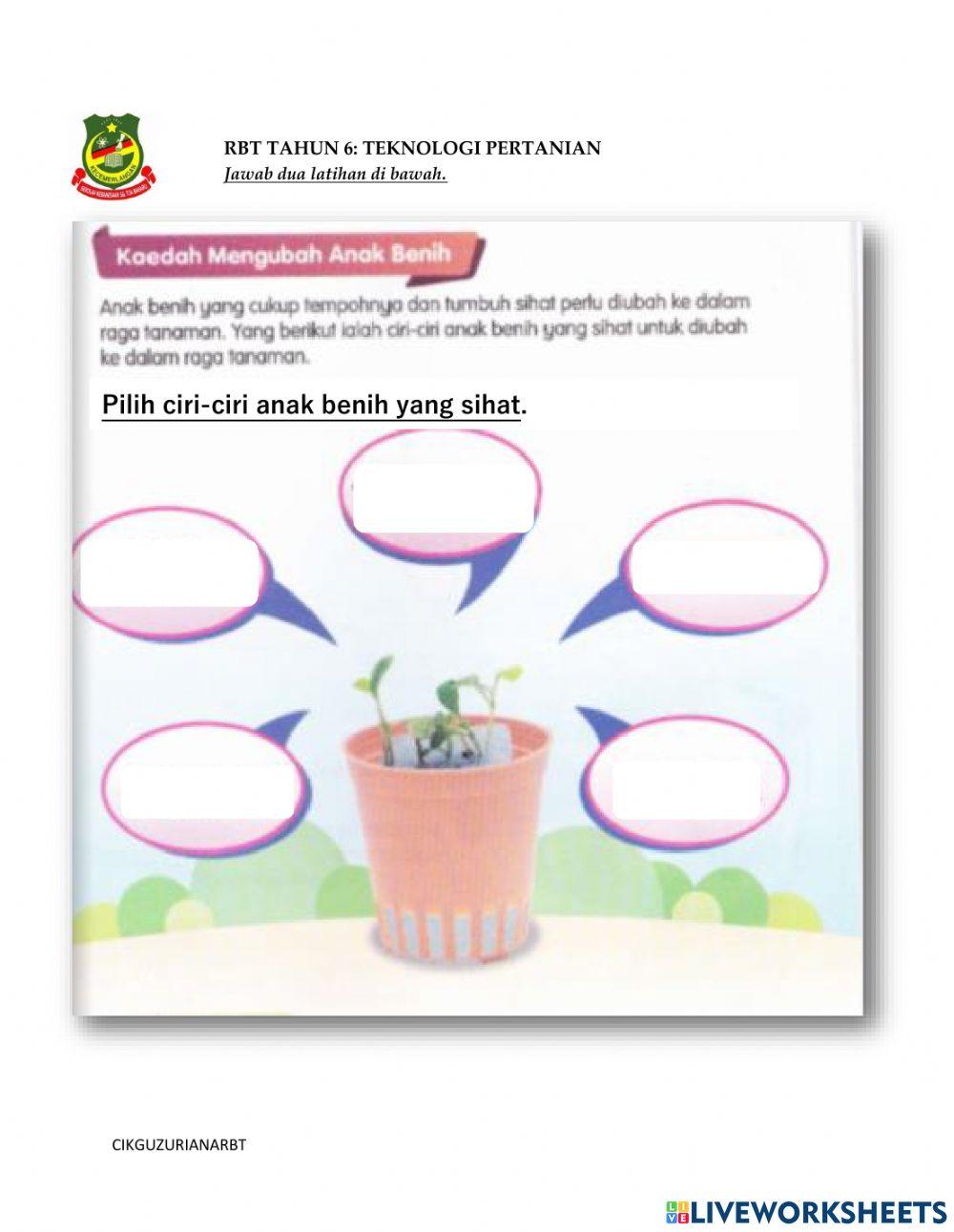 Unit 2 : teknologi pertanian worksheet | Live Worksheets