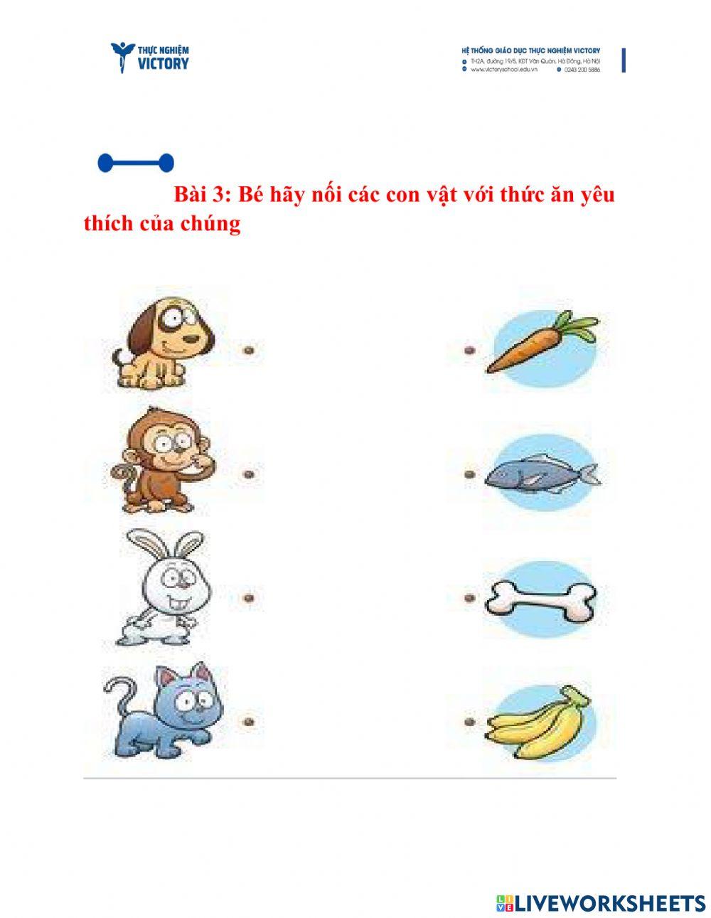 Pink science KP… | Free Interactive Worksheets | 1552594