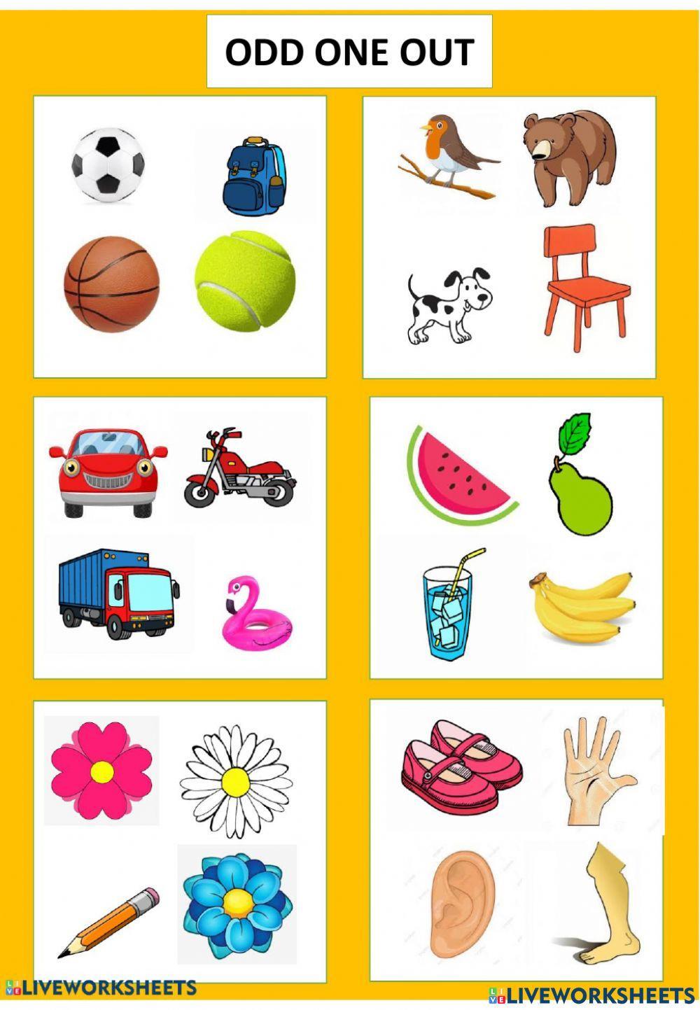 Science | Free Interactive Worksheets | 1552922