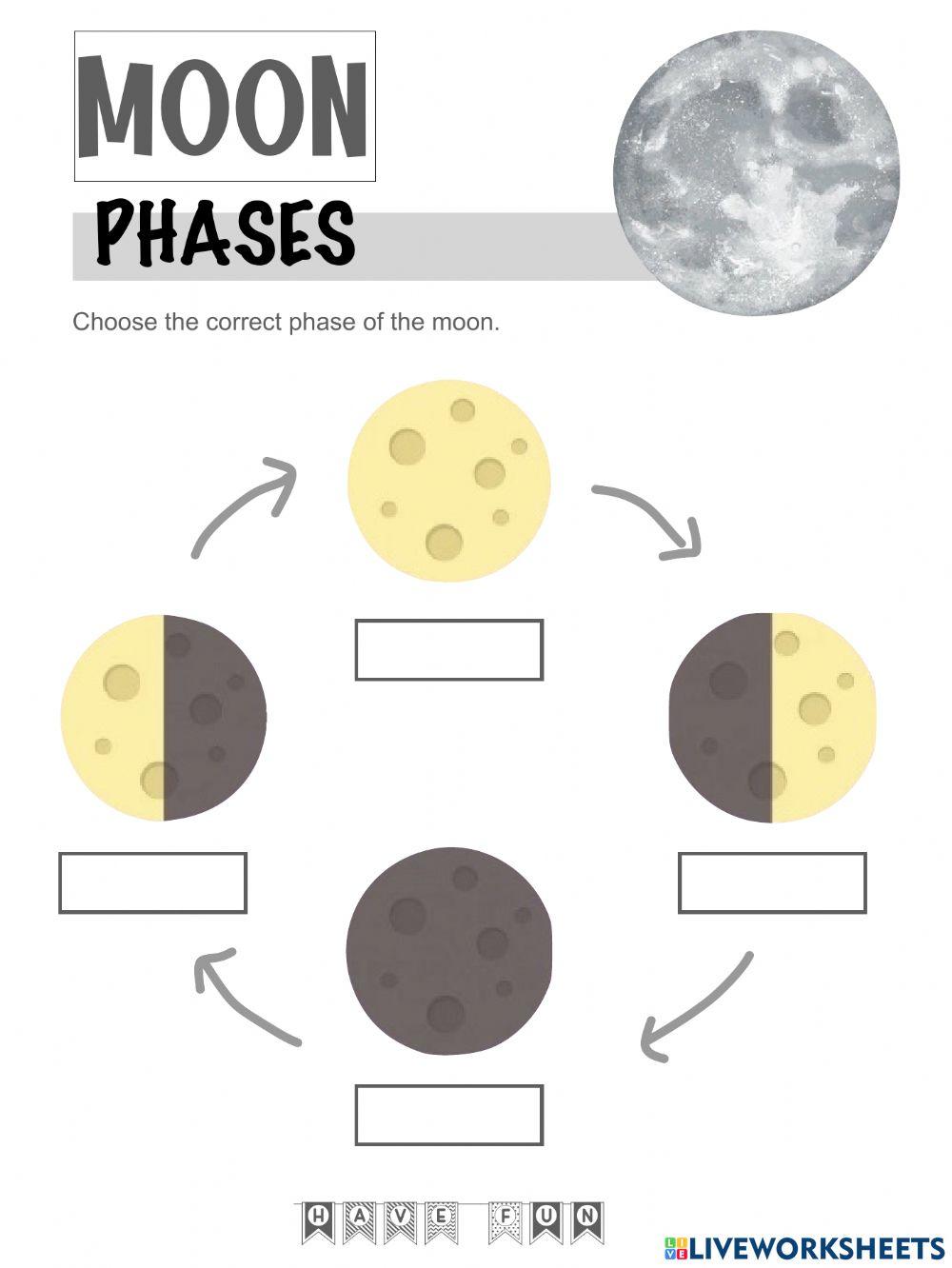 moon phases online exercise for | Live Worksheets