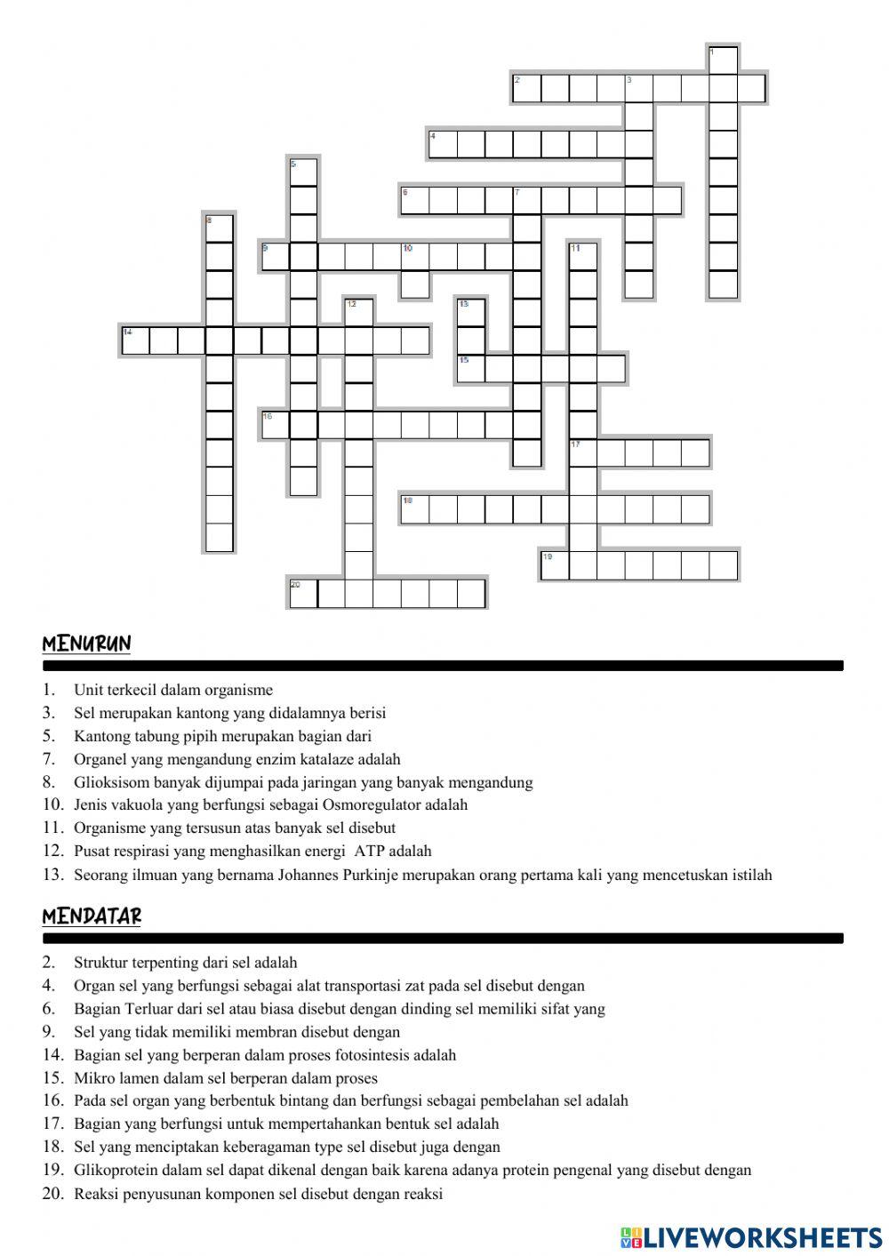 Biologi online pdf worksheet for 12 | Live Worksheets