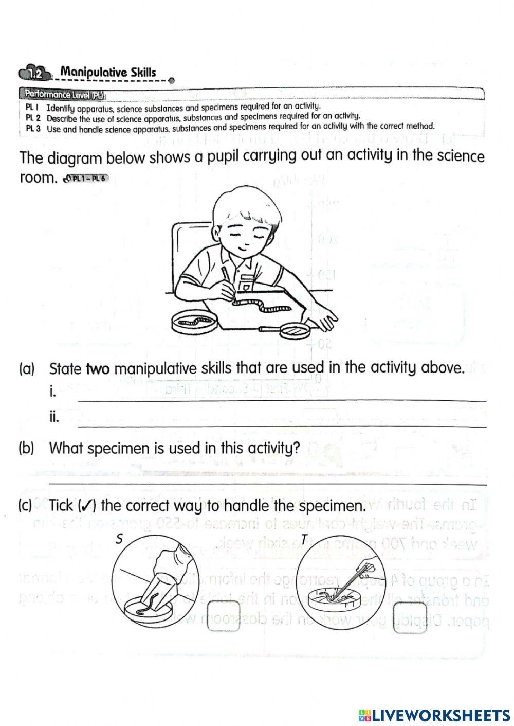 Manipulative sk… | Free Interactive Worksheets | 1555131