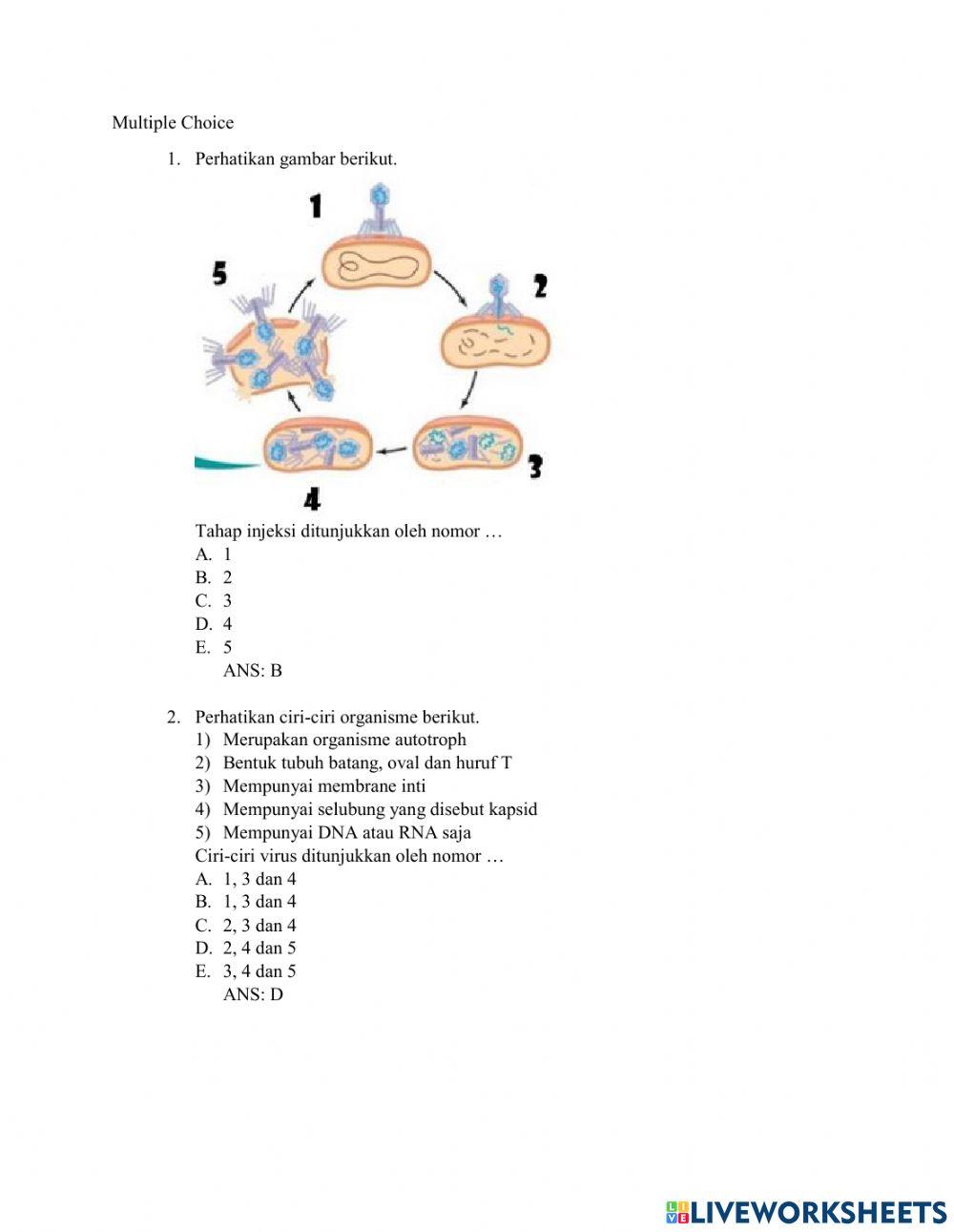 Ruang lingkup biologi interactive exercise | Live Worksheets