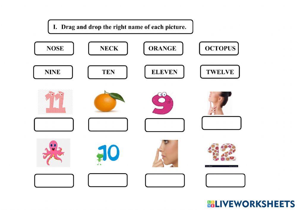 Part of body, things, numbers worksheet | Live Worksheets