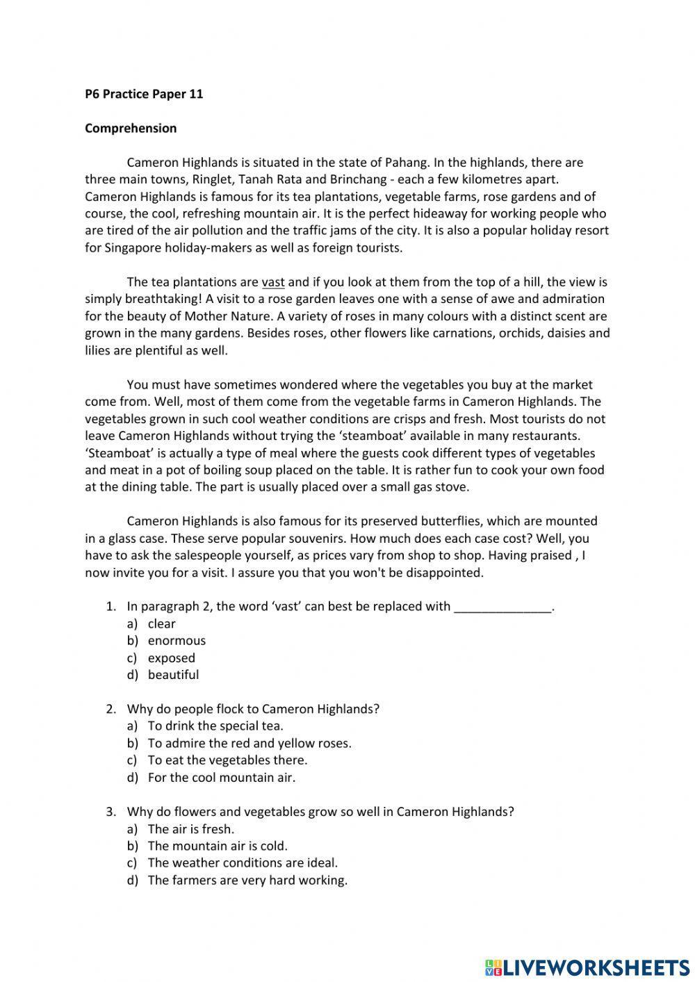 P6 Practice Paper 11 worksheet | Live Worksheets