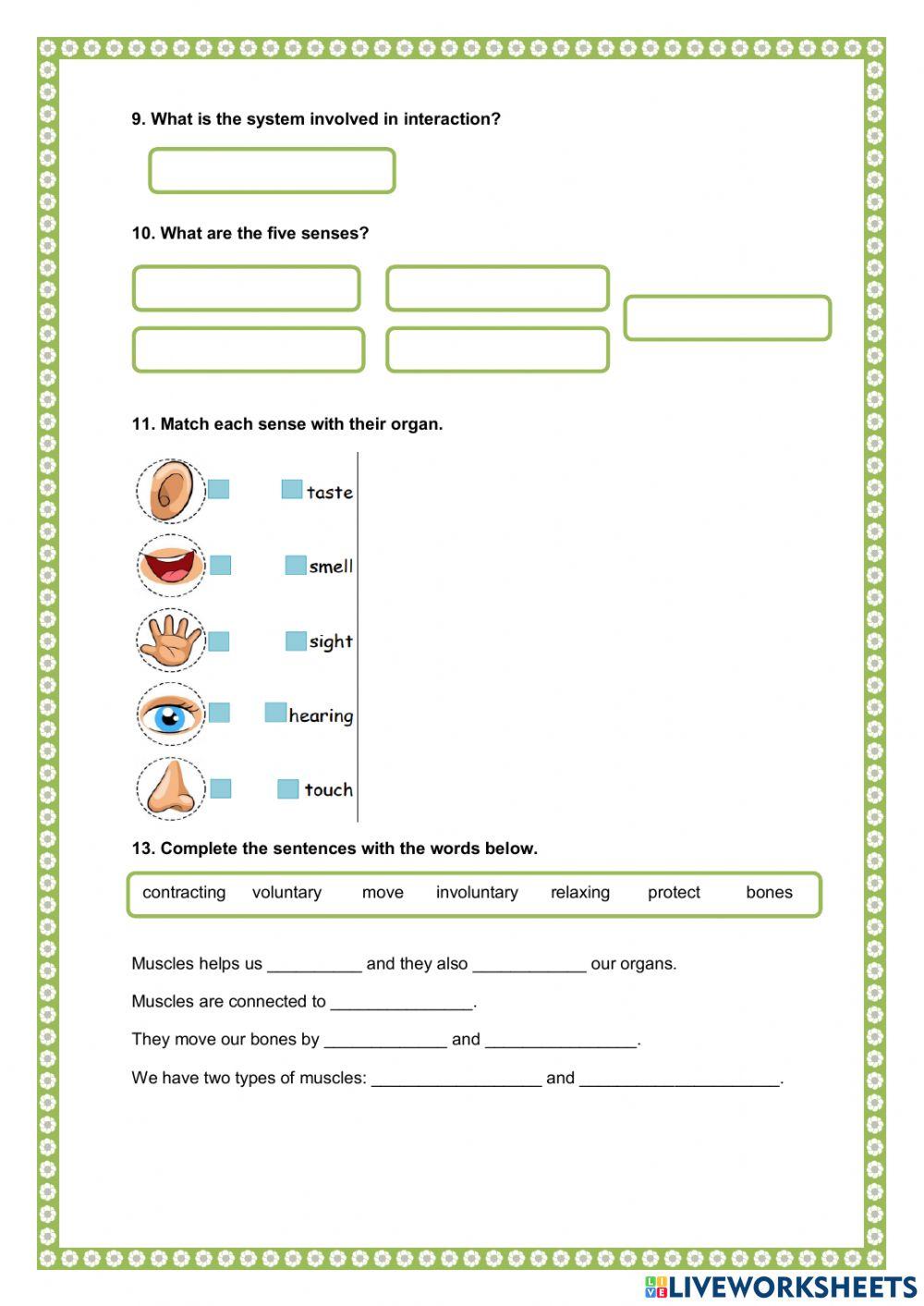 Body systems | Free Interactive Worksheets | 1556914