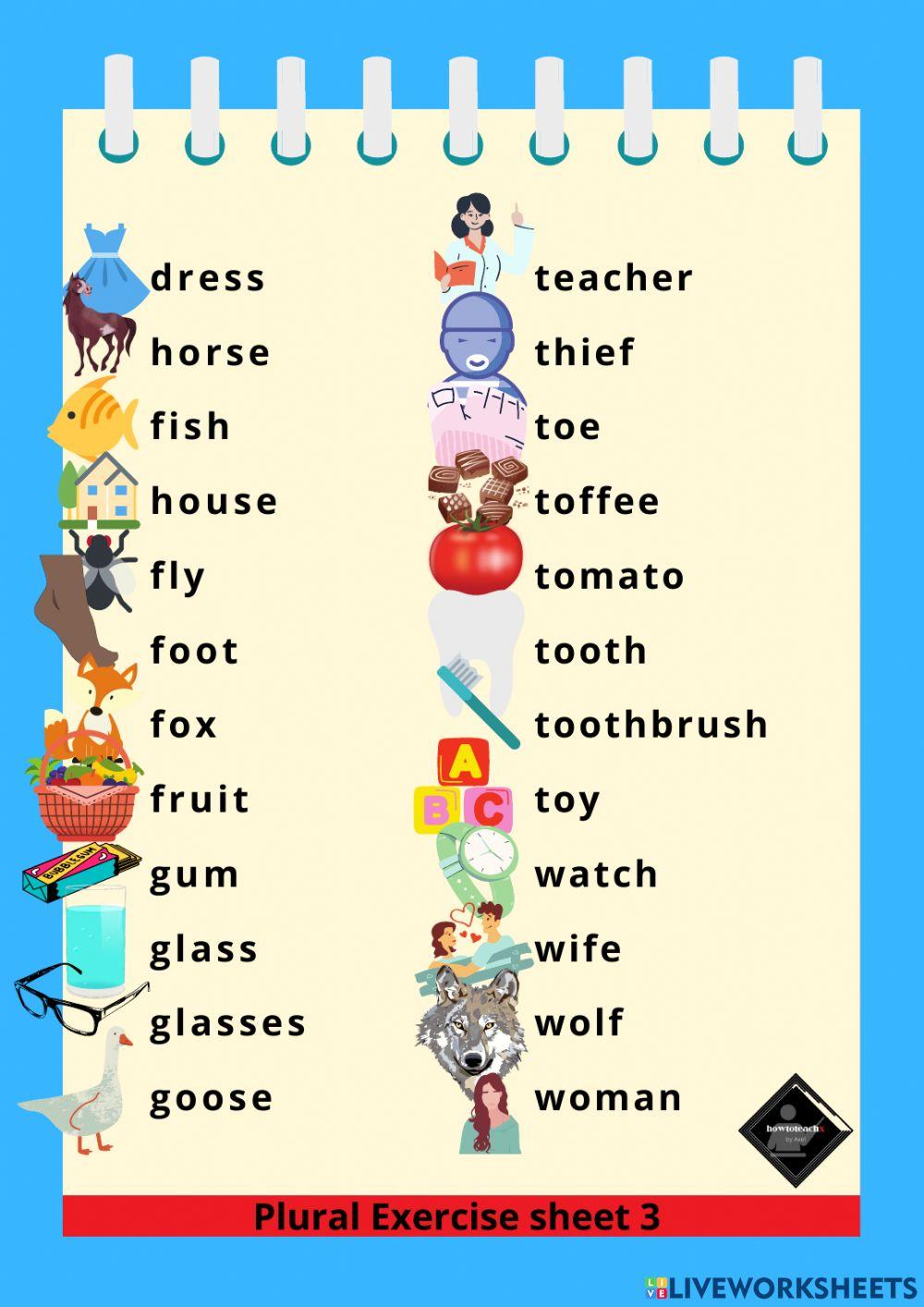 Plural Exercise sheet 3 worksheet | Live Worksheets