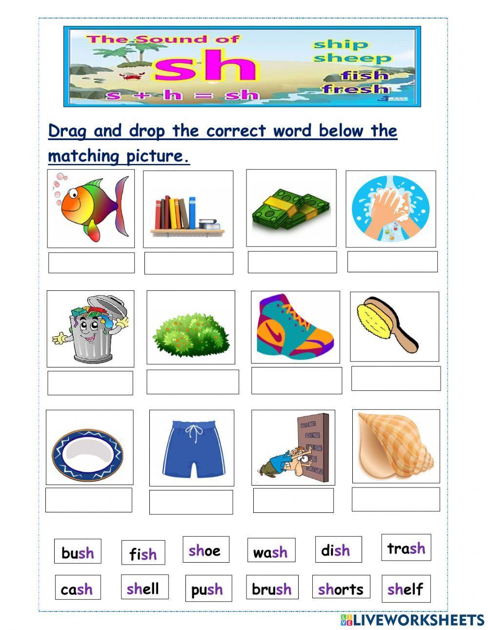 1556911 | Drag and drop Digraph sh beginning and ending