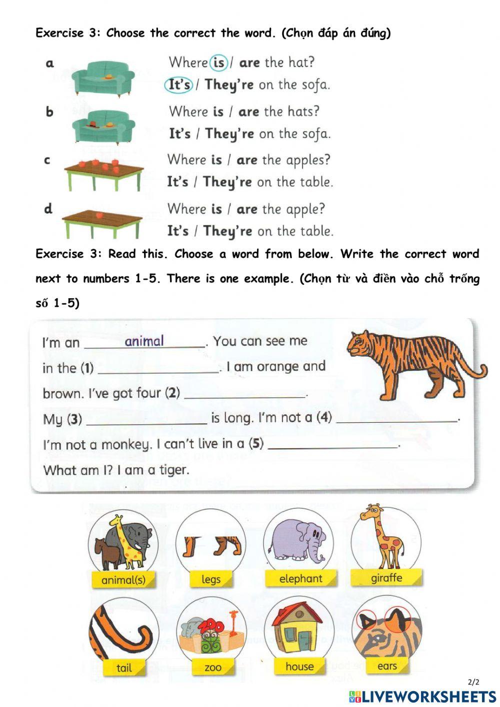PCT 11-Grade 2 worksheet | Live Worksheets