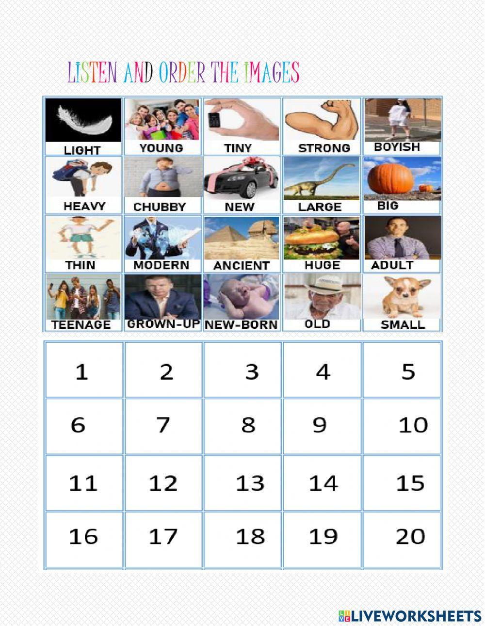 Size and age adjectives worksheet | Live Worksheets