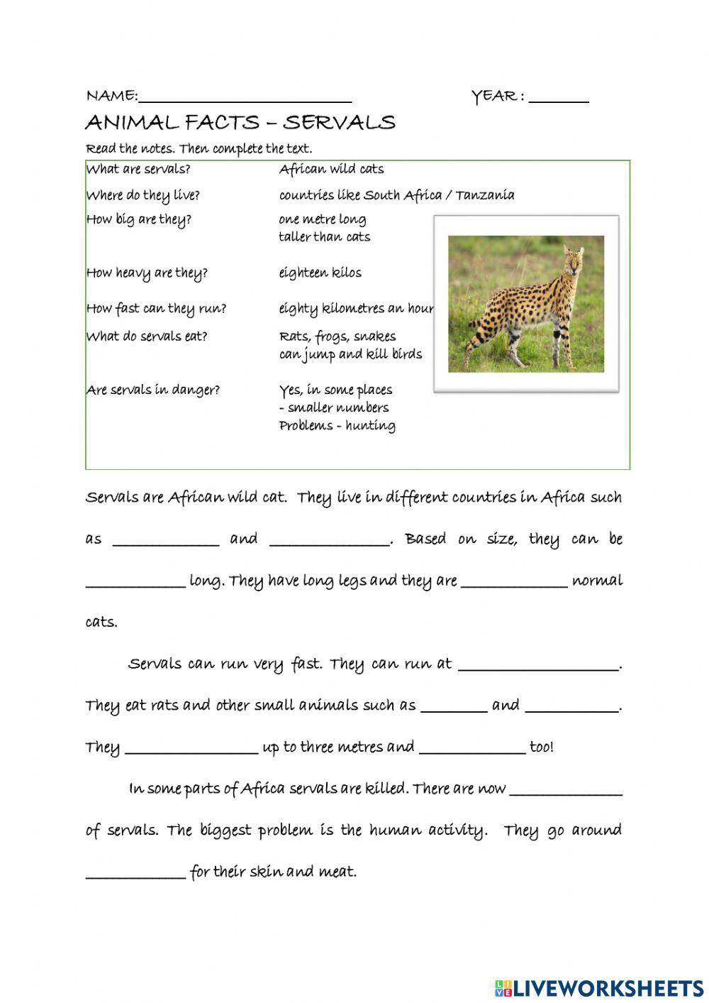 1563960 | Year5 - wildlife | Nihufelanis