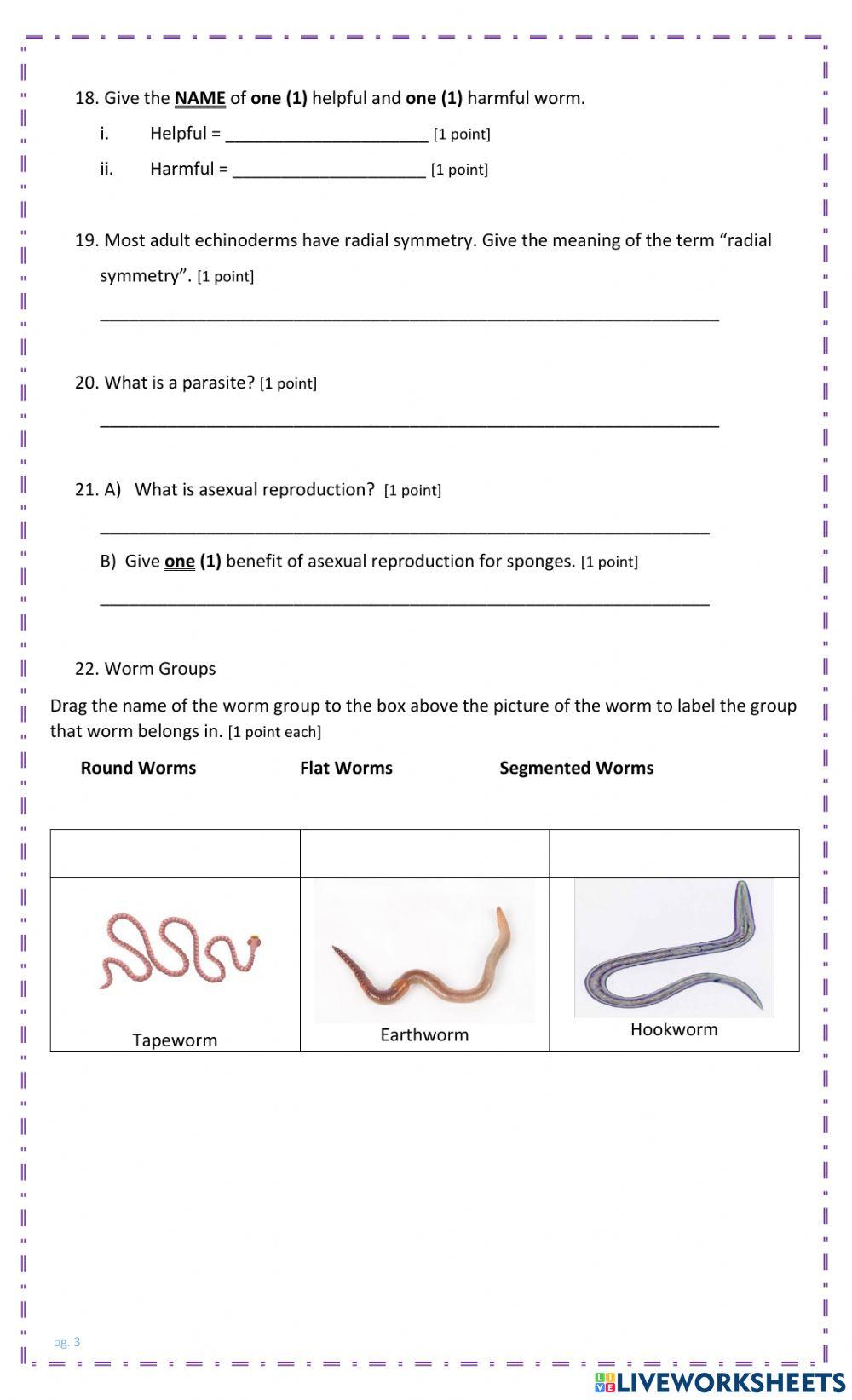 Invertebrate Gr… | Free Interactive Worksheets | 1565661