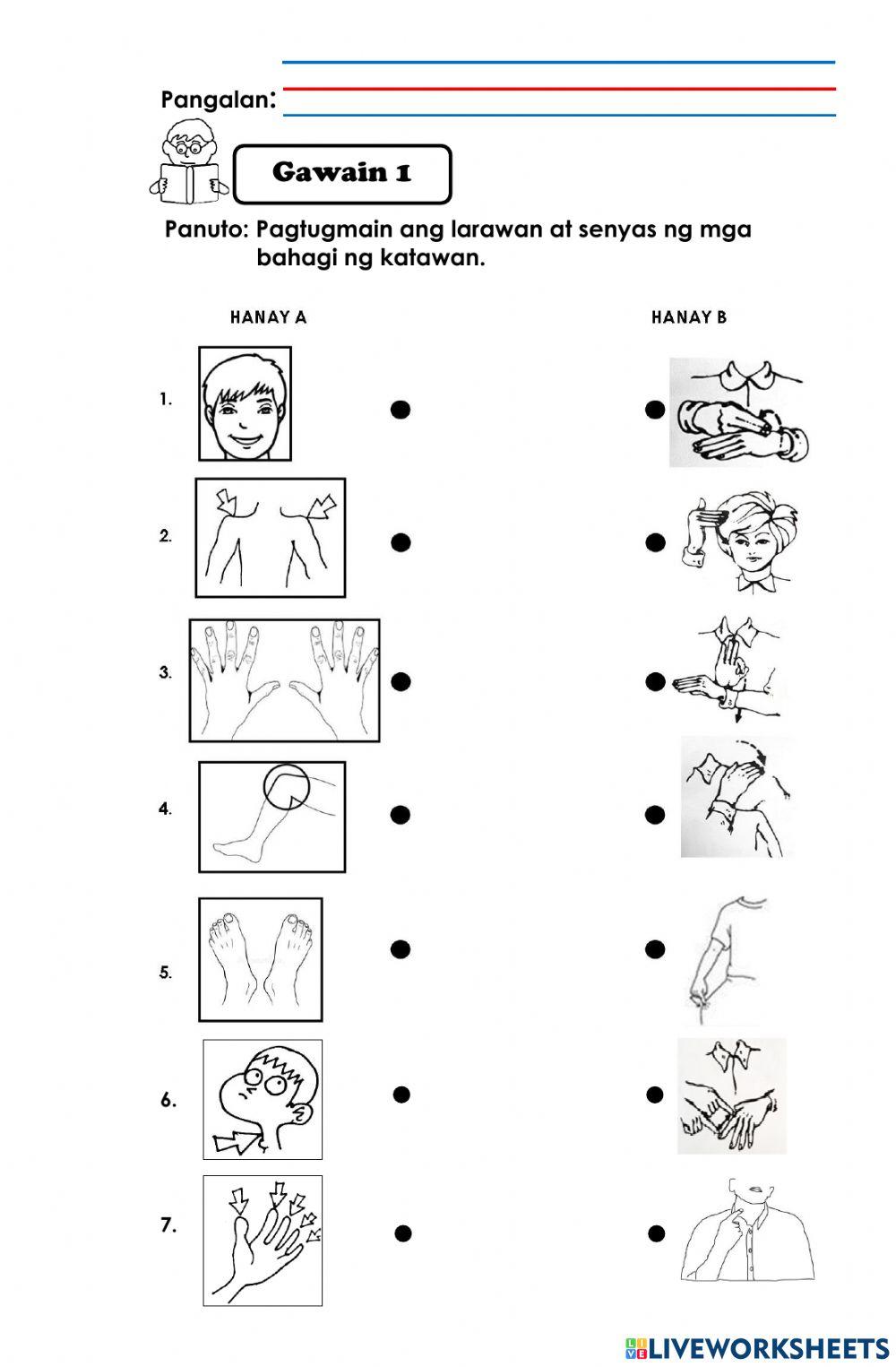 Bahagi Ng Katawan Worksheet - NBKomputer